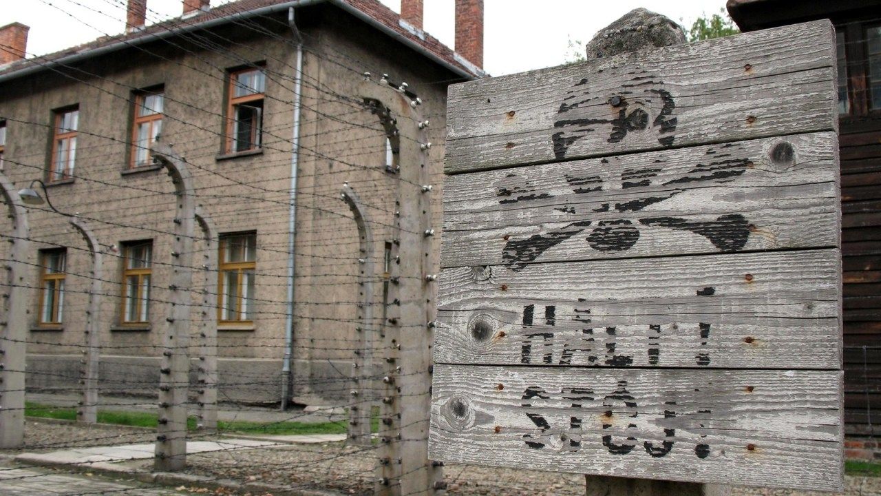 Auschwitz - Inside the Nazi State - (2005) - My Movies - My Movies