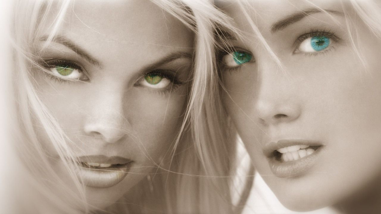 Island Fever 3 - (2004) - My Movies - The Movie & TV Network - My ...