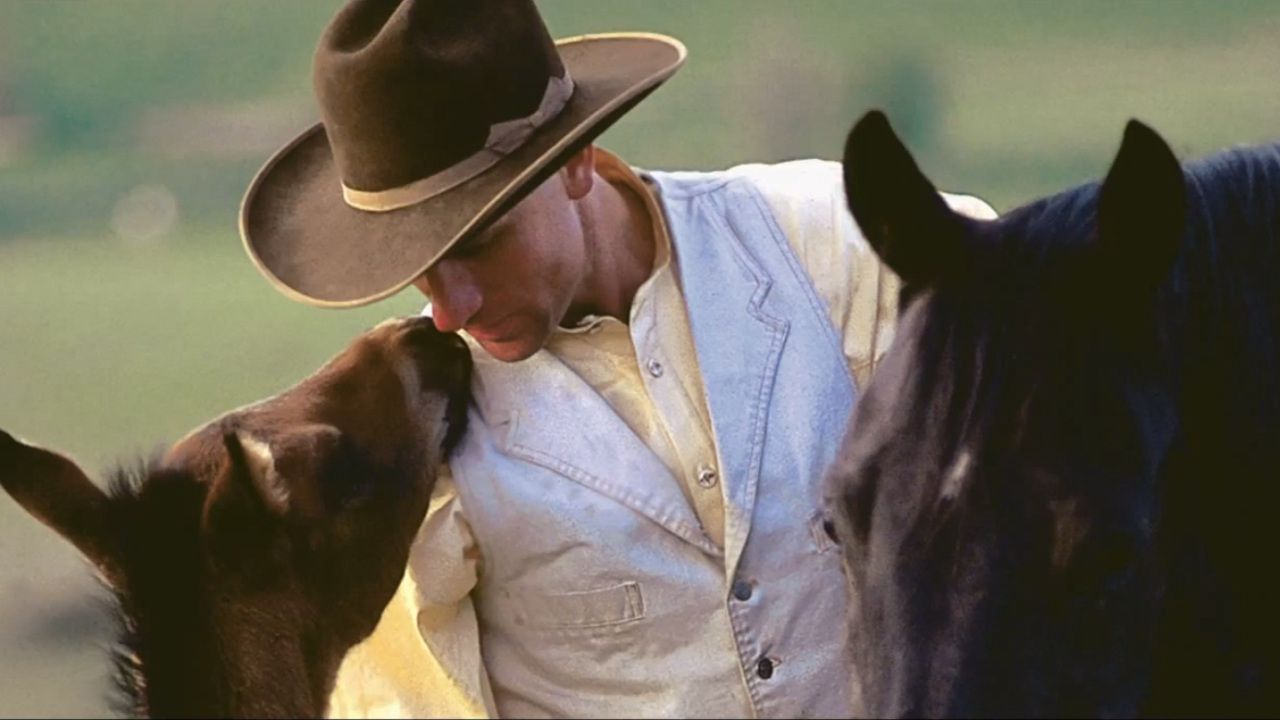 Buck - (2011) - My Movies - The Movie & TV Network - My Movies - The ...