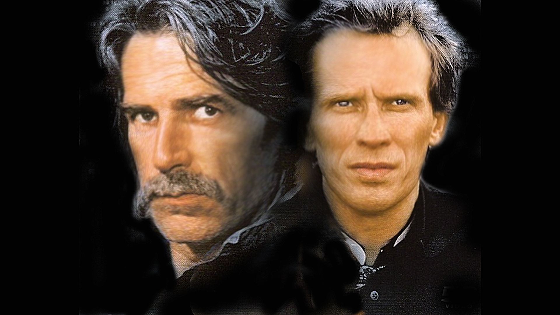 Shakedown - (1988) - My Movies - The Movie & TV Network - My Movies ...