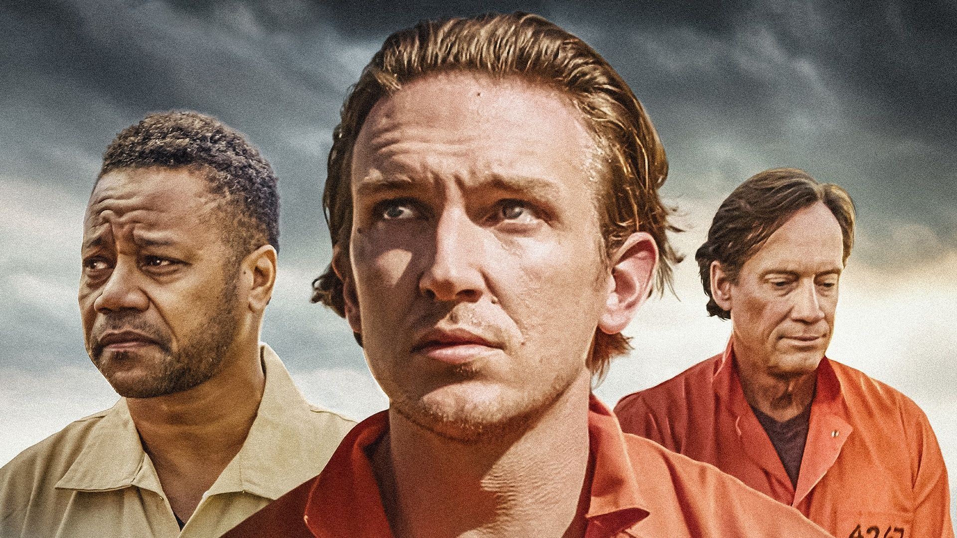 The Firing Squad - (2024) - My Movies - The Movie & TV Network - My ...