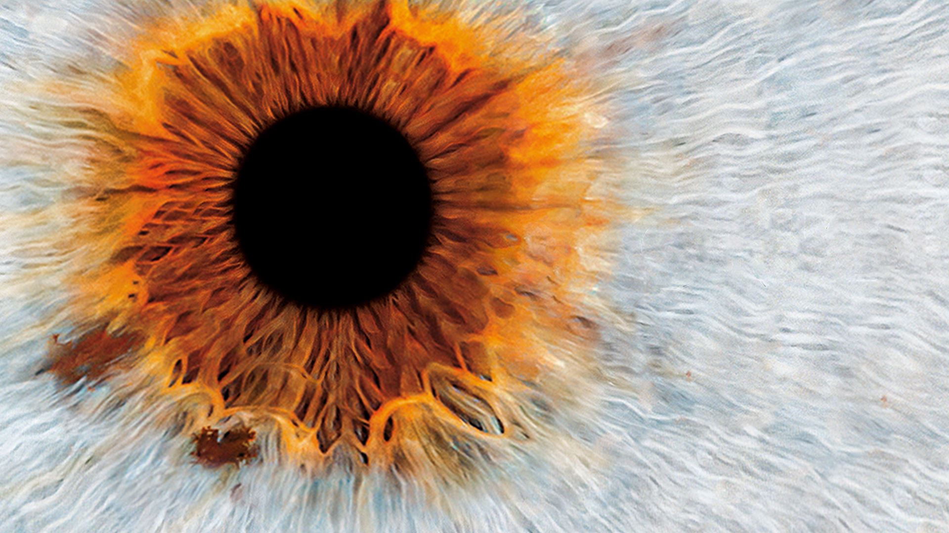 I Origins - (2014) - My Movies - My Movies