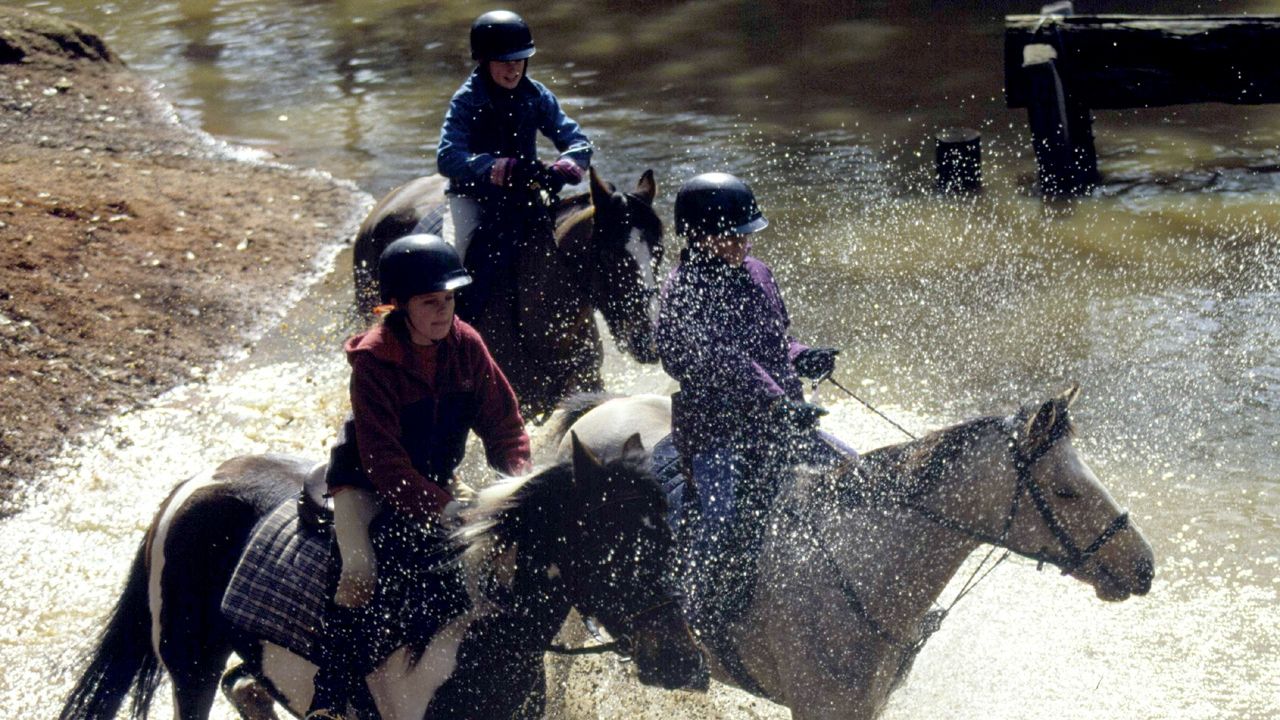 Saddle Club - The First Adventure - (2001) - My Movies - My Movies