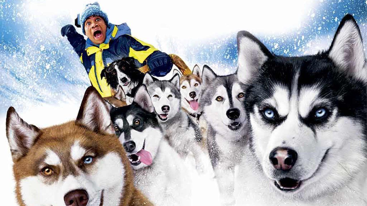 Sled Dog Films