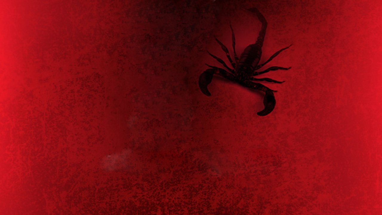 Wild Seven - (2006) - My Movies - The Movie & TV Network - My Movies ...