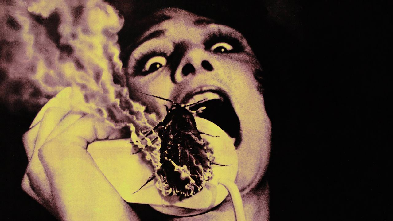 Bug - (1975) - My Movies - The Movie & TV Network - My Movies - The ...