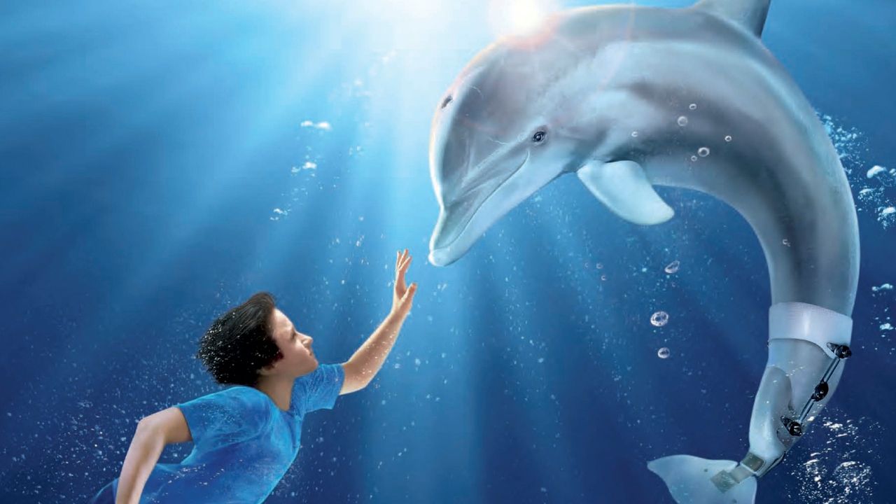 Dolphin Tale - (2011) - My Movies - The Movie & TV Network - My Movies ...