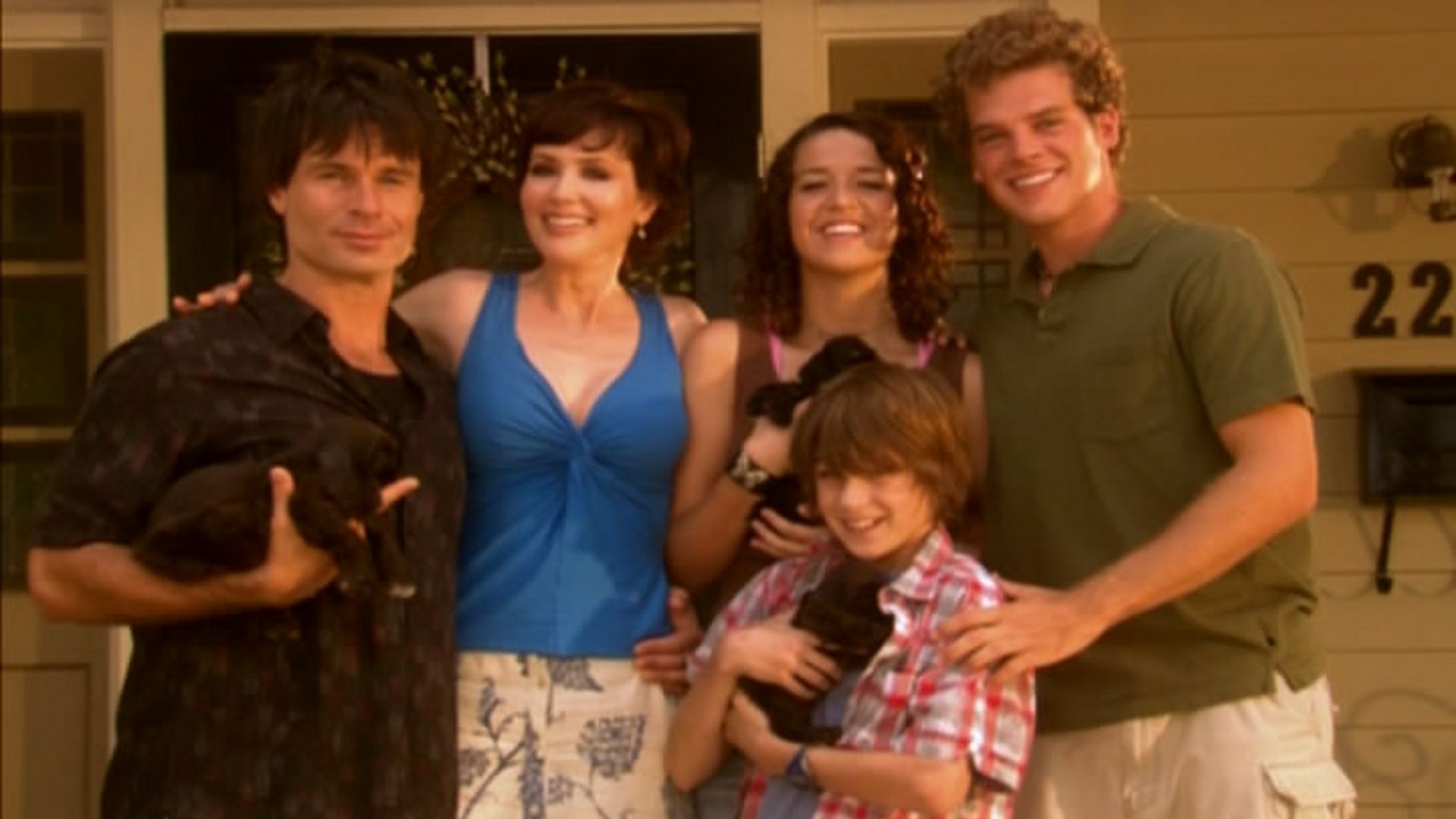 Miracle Dogs Too - (2006) - My Movies - My Movies