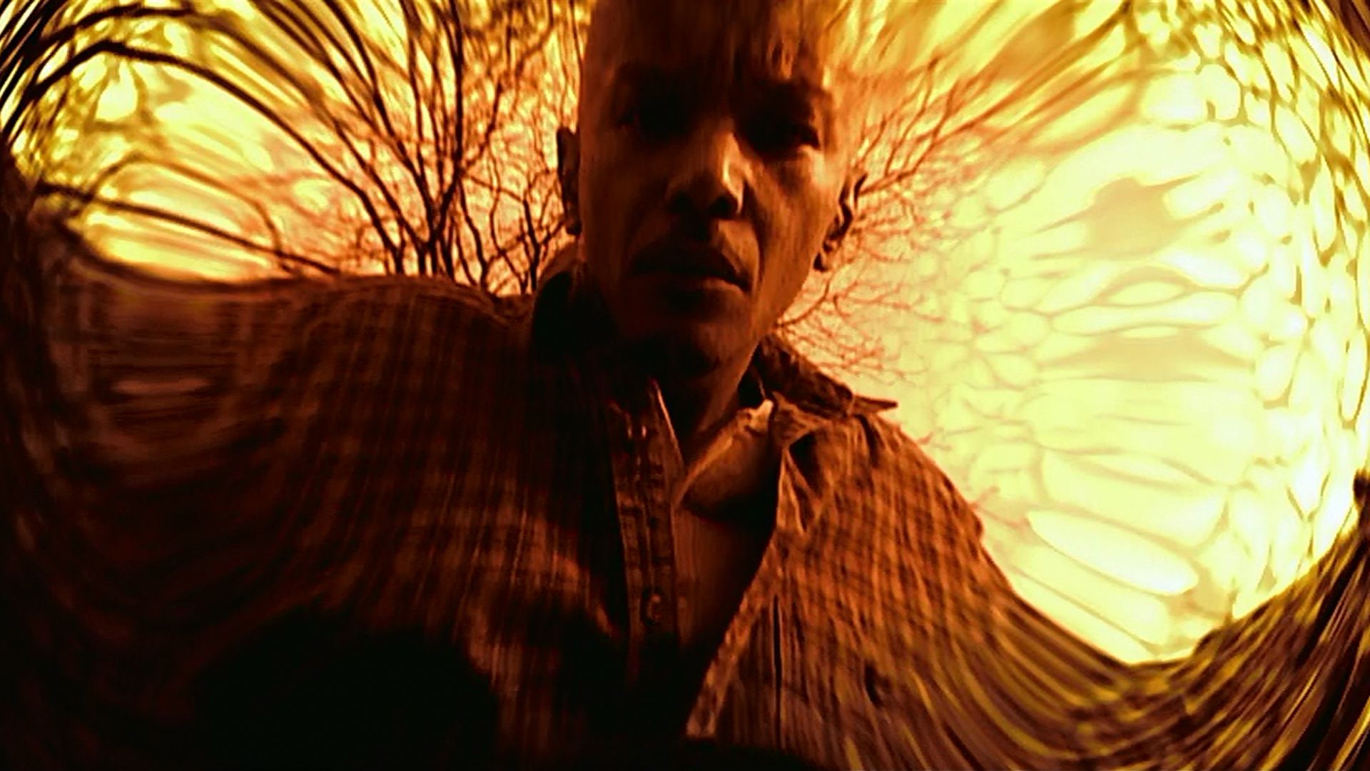 Swarmed - (2005) - My Movies - The Movie & TV Network - My Movies - The ...