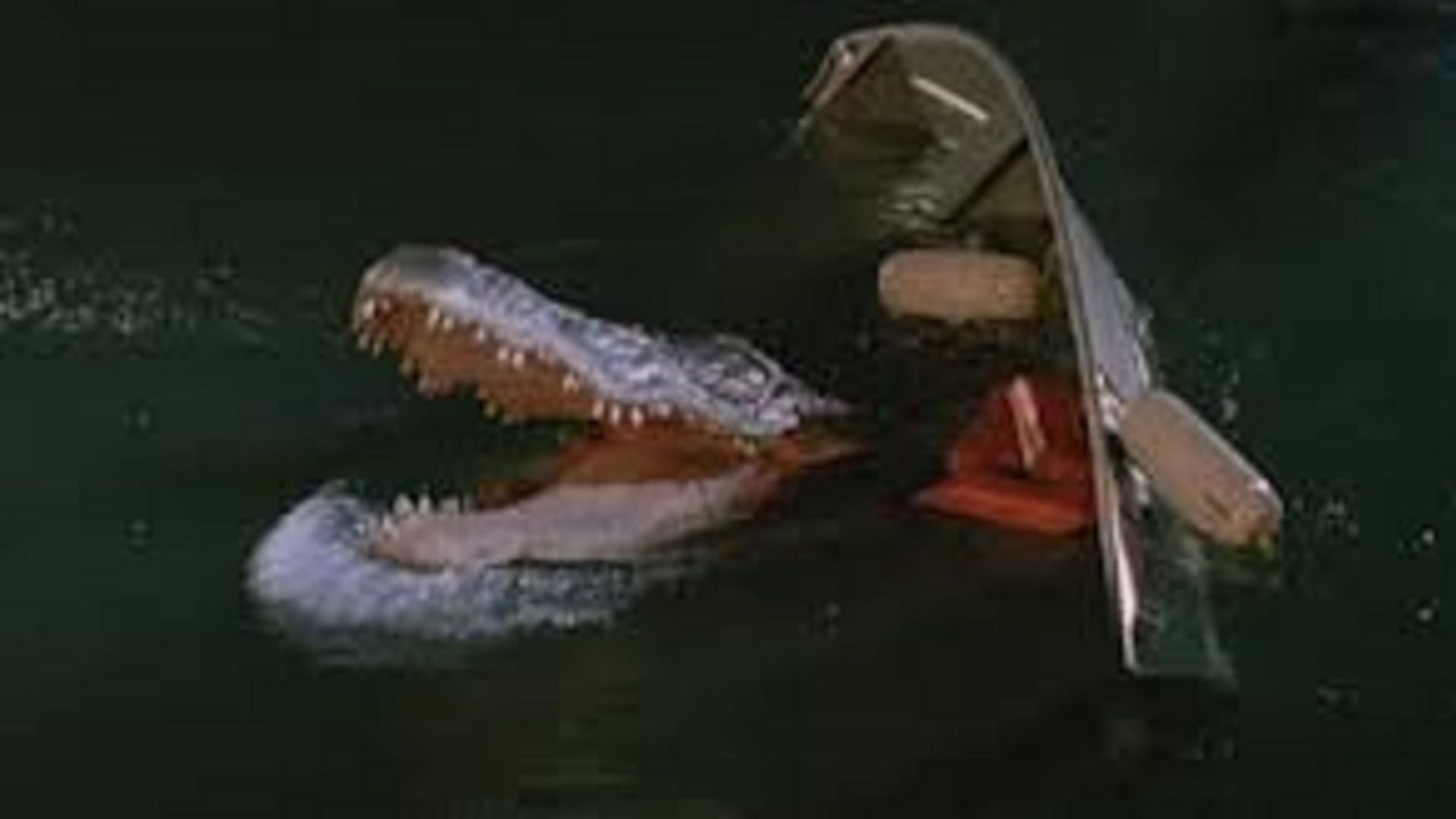 Alligator II: The Mutation - (1991) - My Movies - The Movie & TV ...