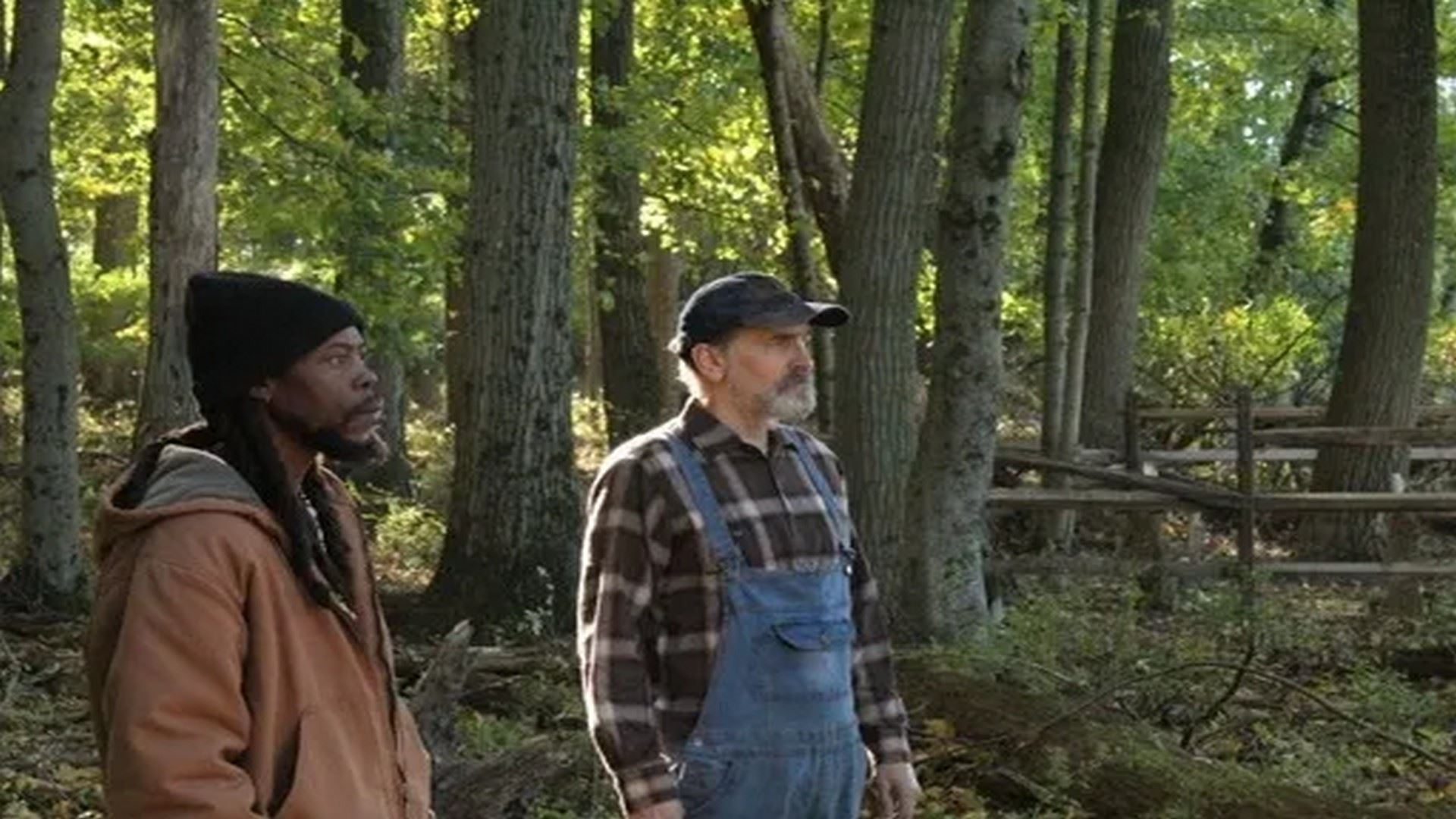 Hayride to Hell - (2023) - My Movies - My Movies