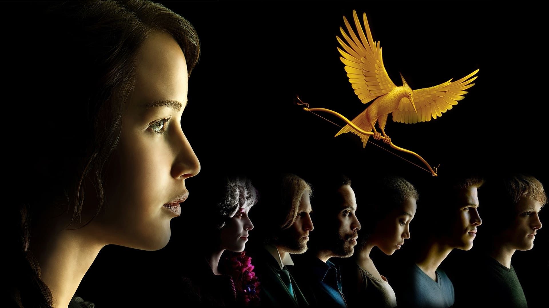 The Hunger Games - My Movies - The Movie & TV Network