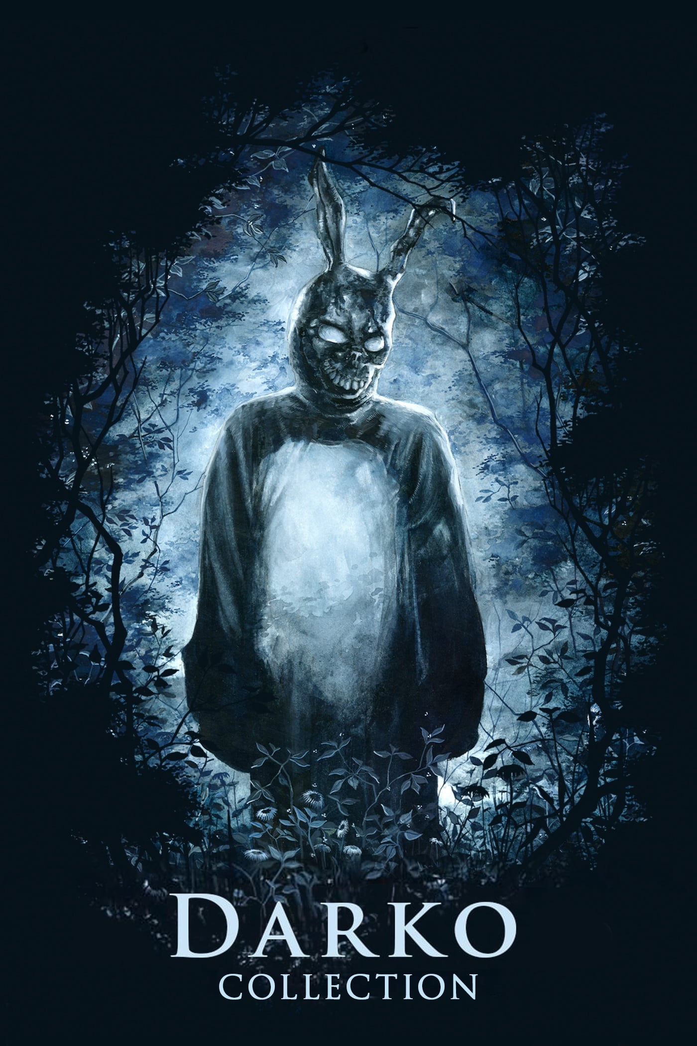 Darko - My Movies - The Movie & TV Network