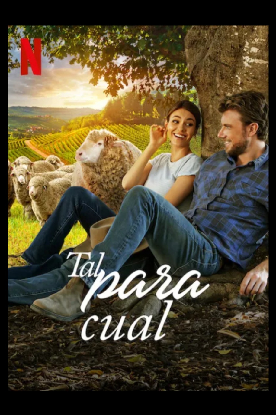 A Perfect Pairing - (2022) - My Movies - My Movies