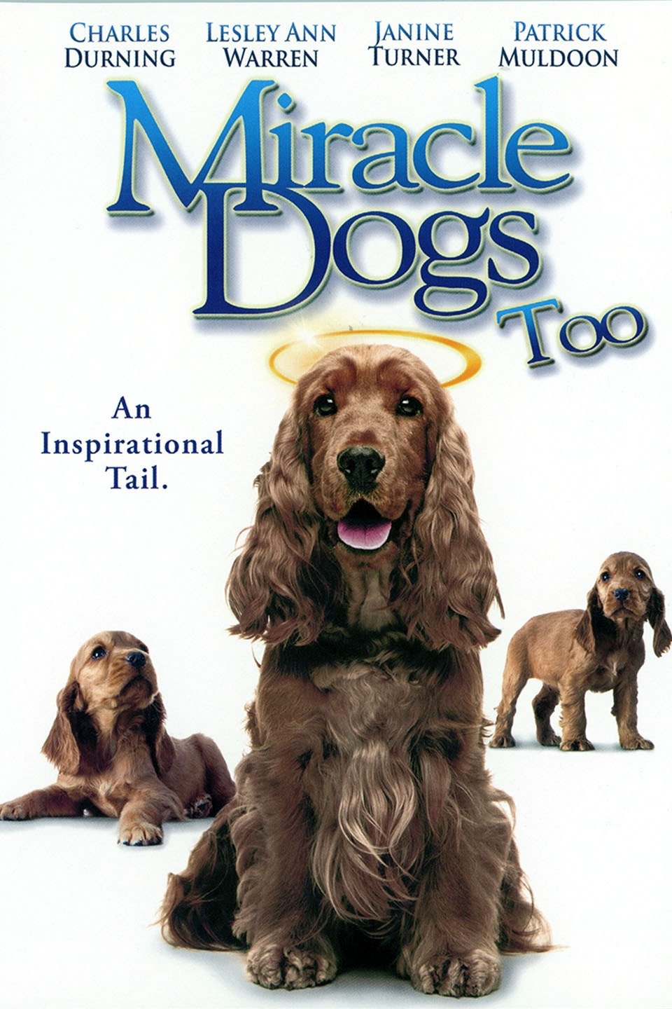 Miracle Dogs Too - (2006) - My Movies - My Movies