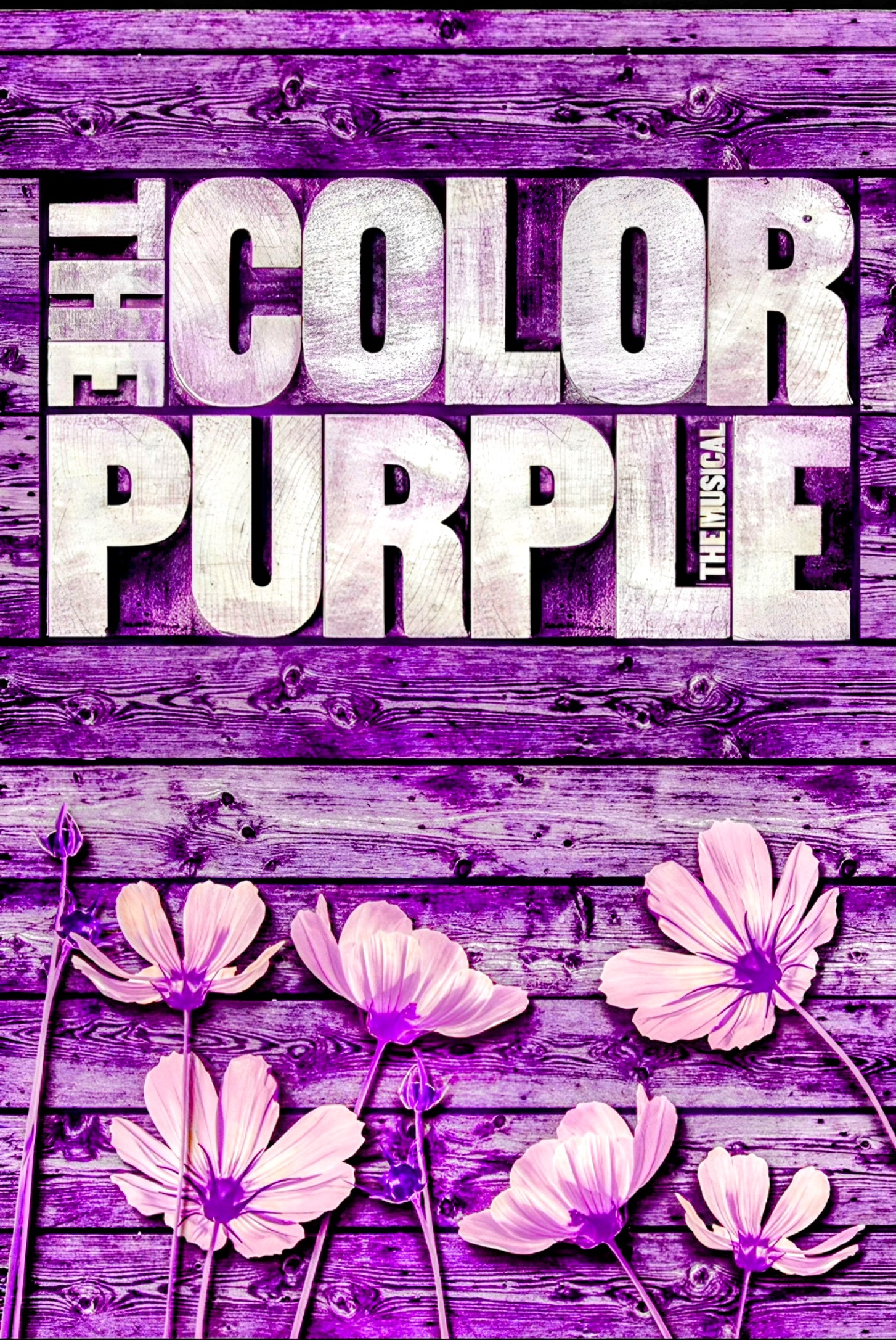 The Color Purple - DVD - 883929802487 - United States - 3/12/2024 - My ...